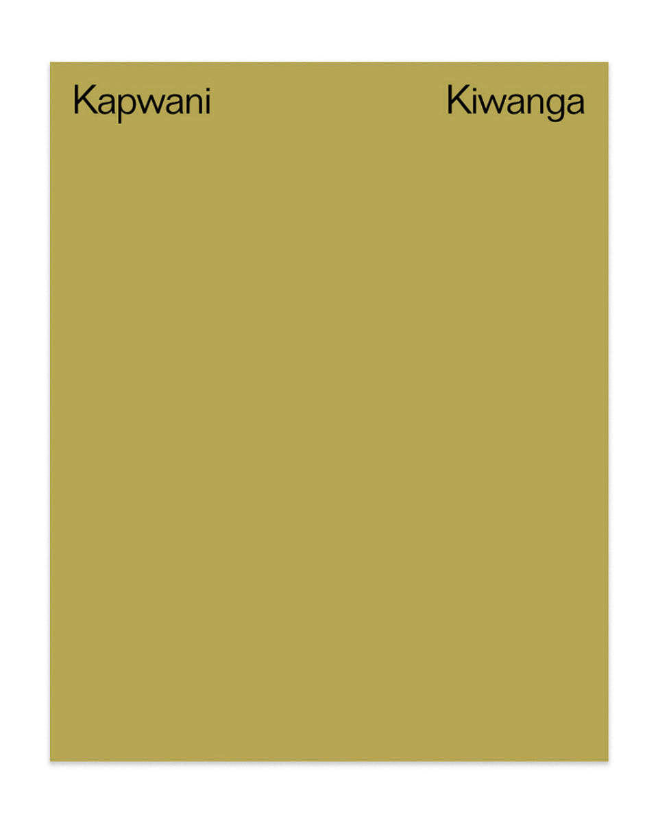 Kapwani Kiwanga – Galerie Tanja Wagner